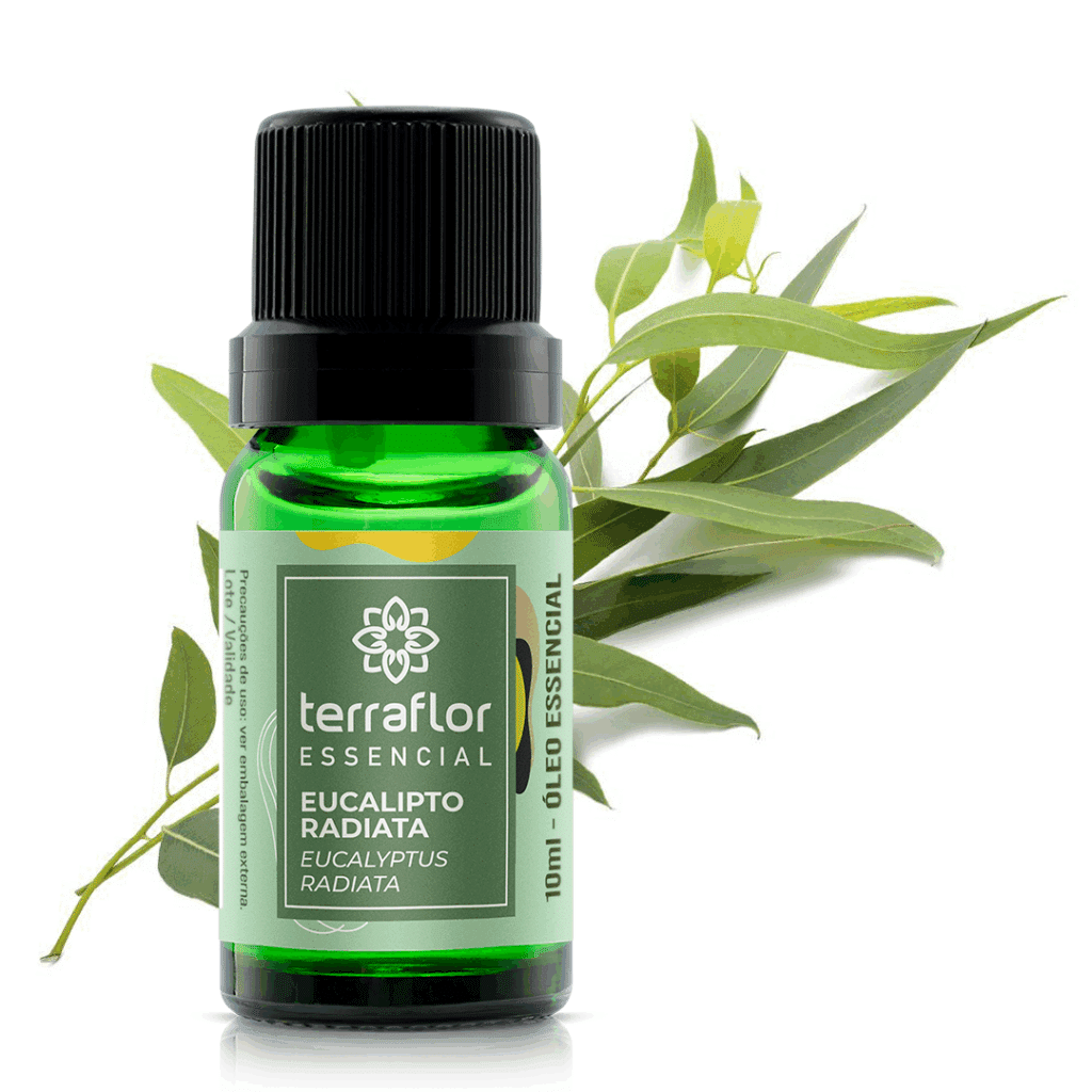 Ofertas - Terra Flor