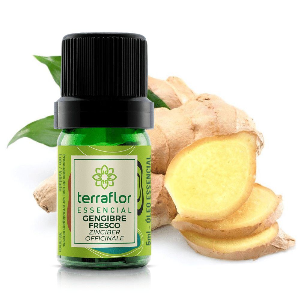 Ofertas - Terra Flor