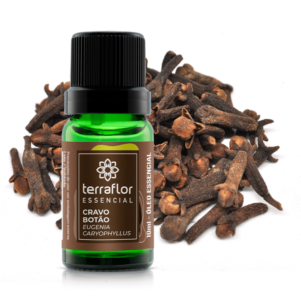 Ofertas - Terra Flor