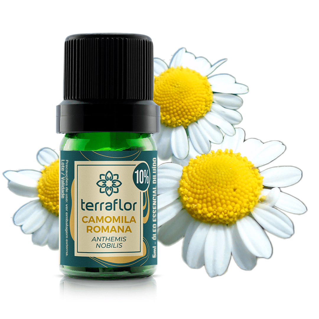 Terra Flor: aromaterapia e os melhores óleos essenciais para seu bem-estar